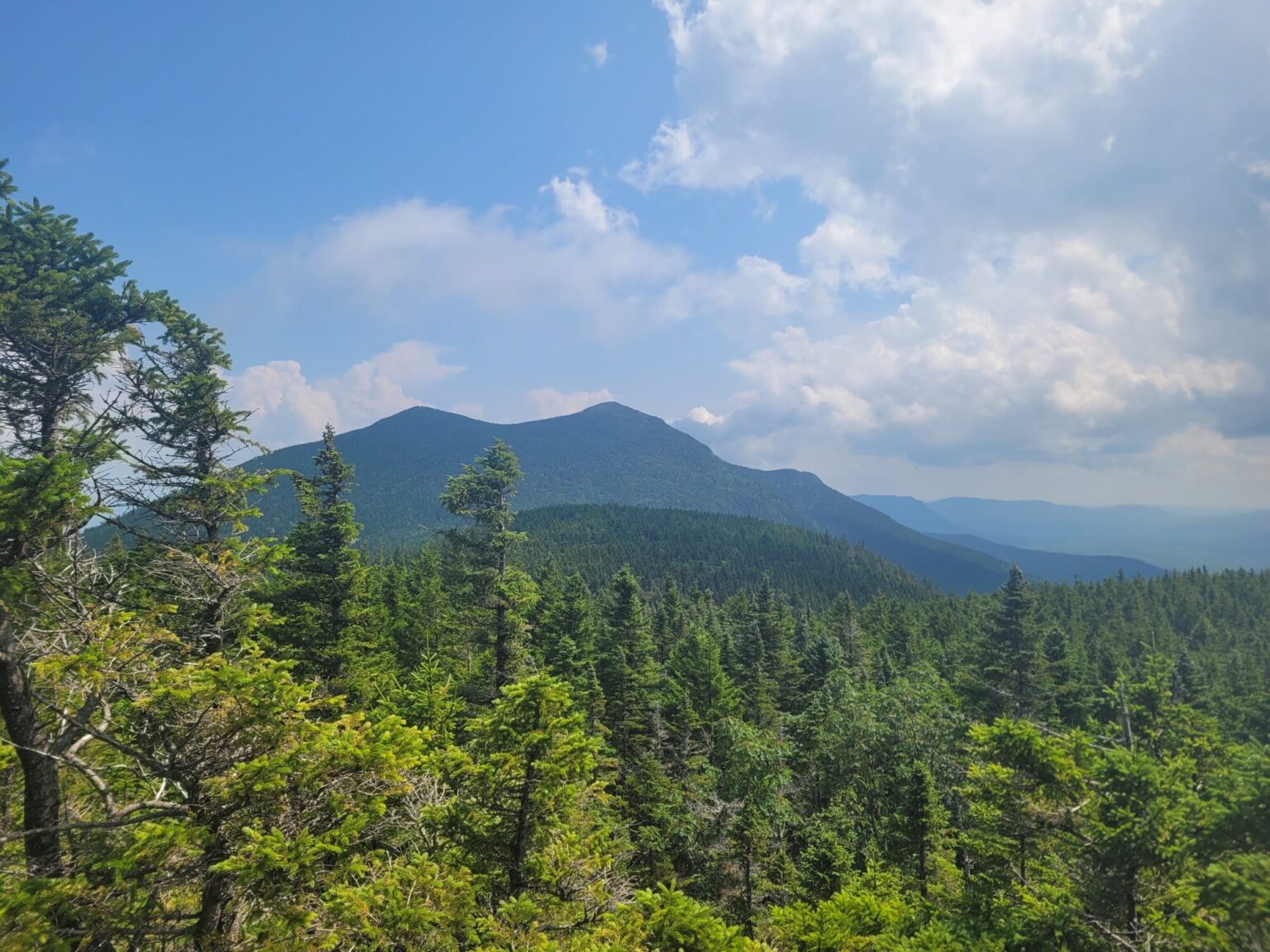 Pine Tree Power - Maine Conservation Voters